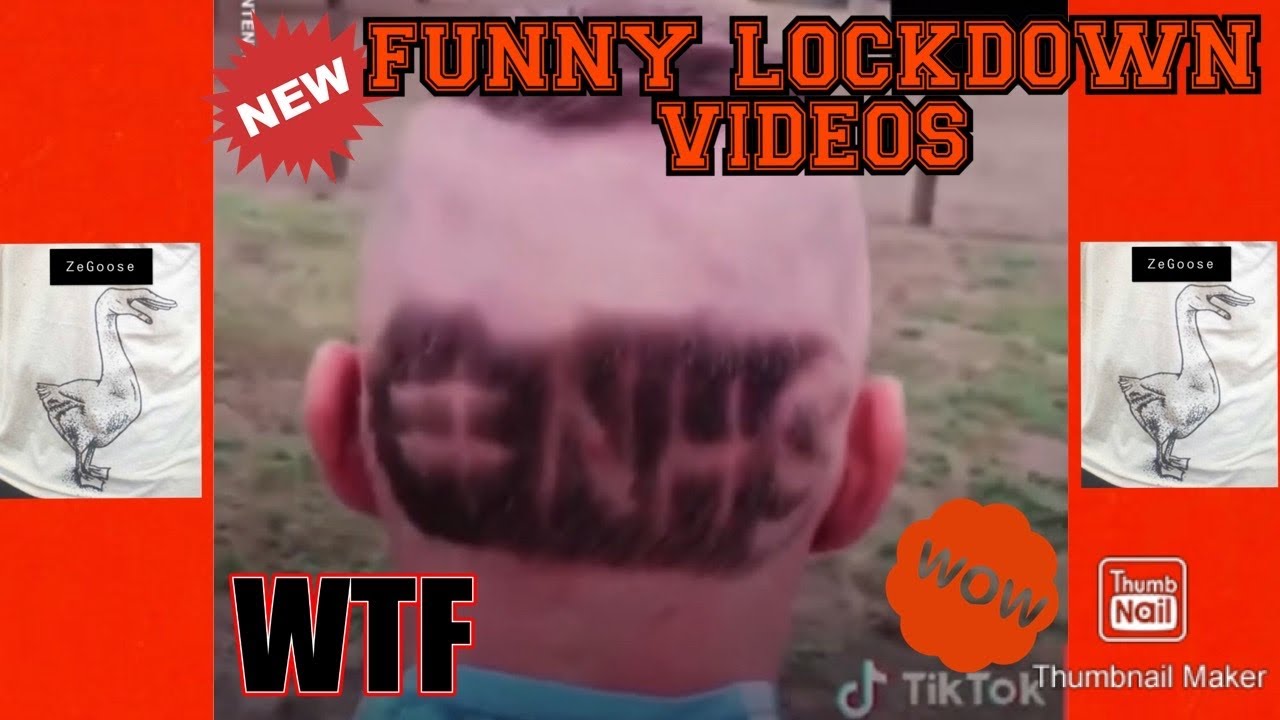 FUNNY LOCKDOWN VIDEOS! BEST MOMENTS 2020 ISOLATION THE WORLDS GONE MAD ...