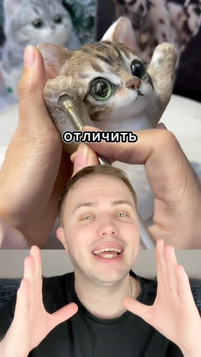 Какой то культ домашних питомцев 😄 Youtube