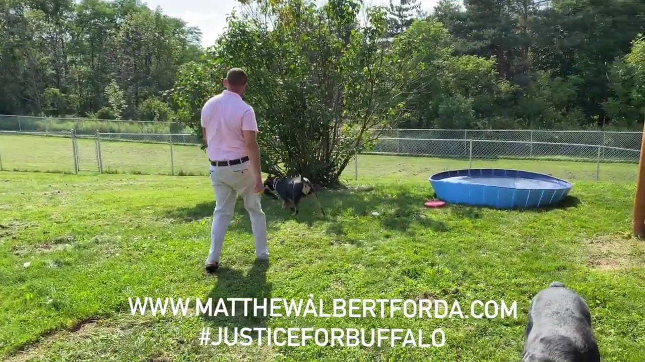 MATTHEW ALBERT FOR ERIE COUNTY DA - YouTube