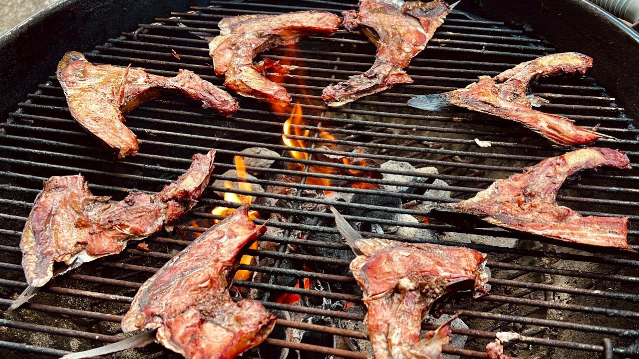 Catch & Cook: Grilled Aku(Skipjack Tuna) Collars - YouTube