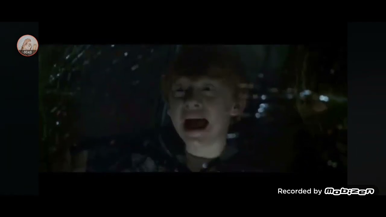 freebird over the spider chase from harry potter and the chamber of ...