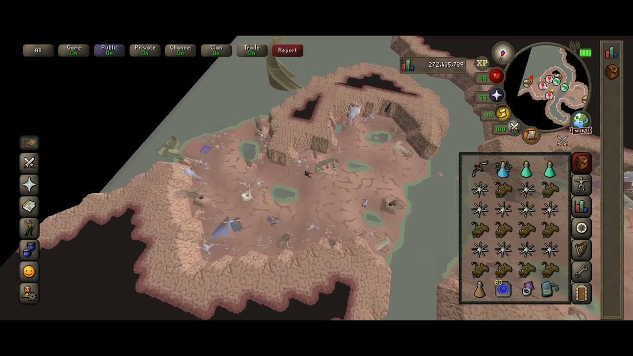 OSRS Shitty guide to The Leviathan - YouTube