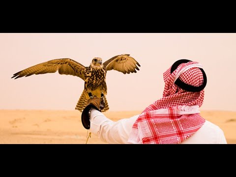Arabian Shades (2024) - YouTube