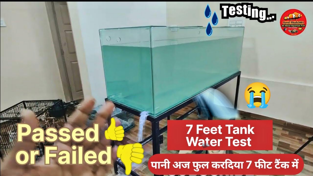 7 Feet Tank Water Testing (Newly Build Aquarium) अज पानी फुल करदिया 7 ...