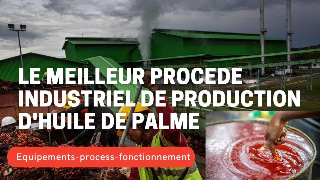 Le meilleur procédé industriel de production d'huile de palme - YouTube