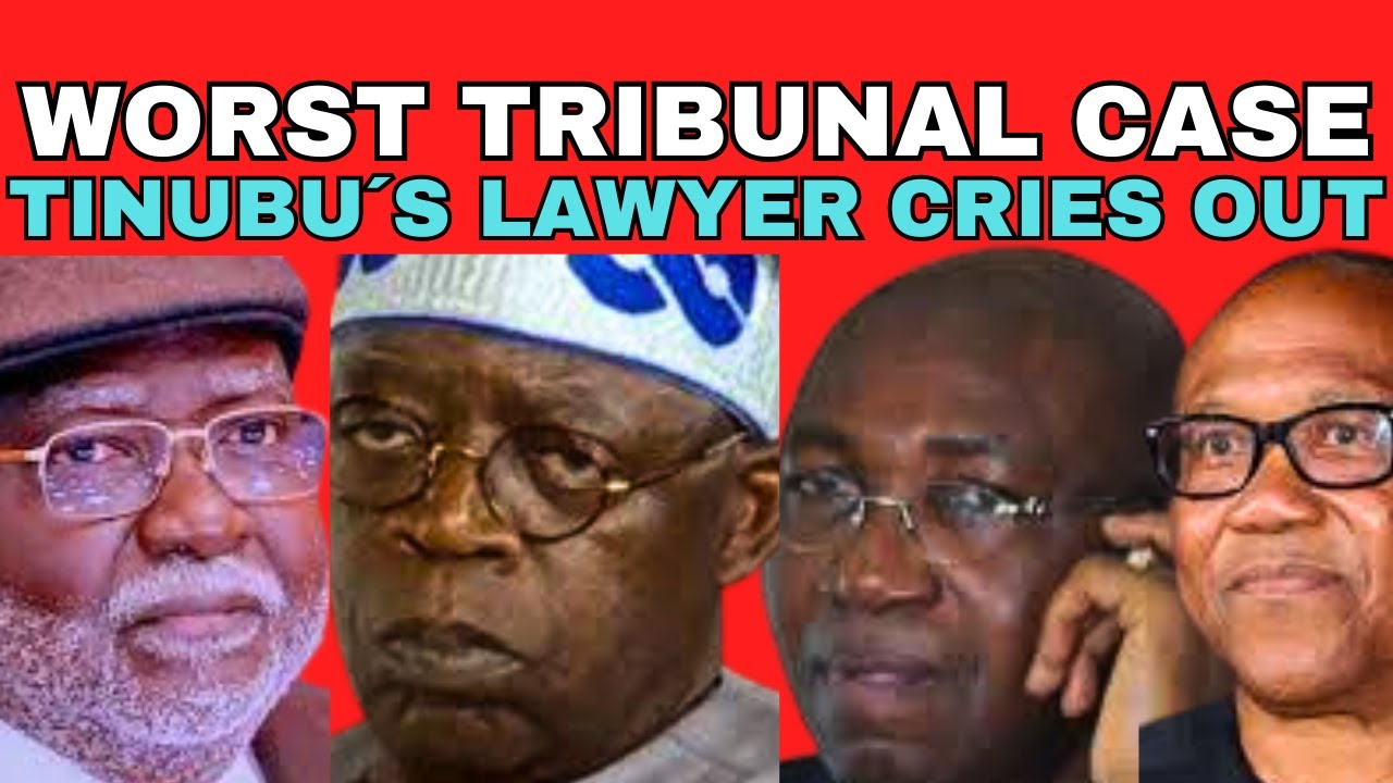 🔥😨WORST TRIBUNAL CASE 😨TINUBU LAWYER OPENS UP🔥 MARY ODILI SHARES TIP ON ...