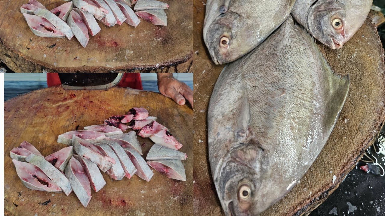 amazing cutting skills!! black pomfret halwa fish karutha avoliy, sagar ...