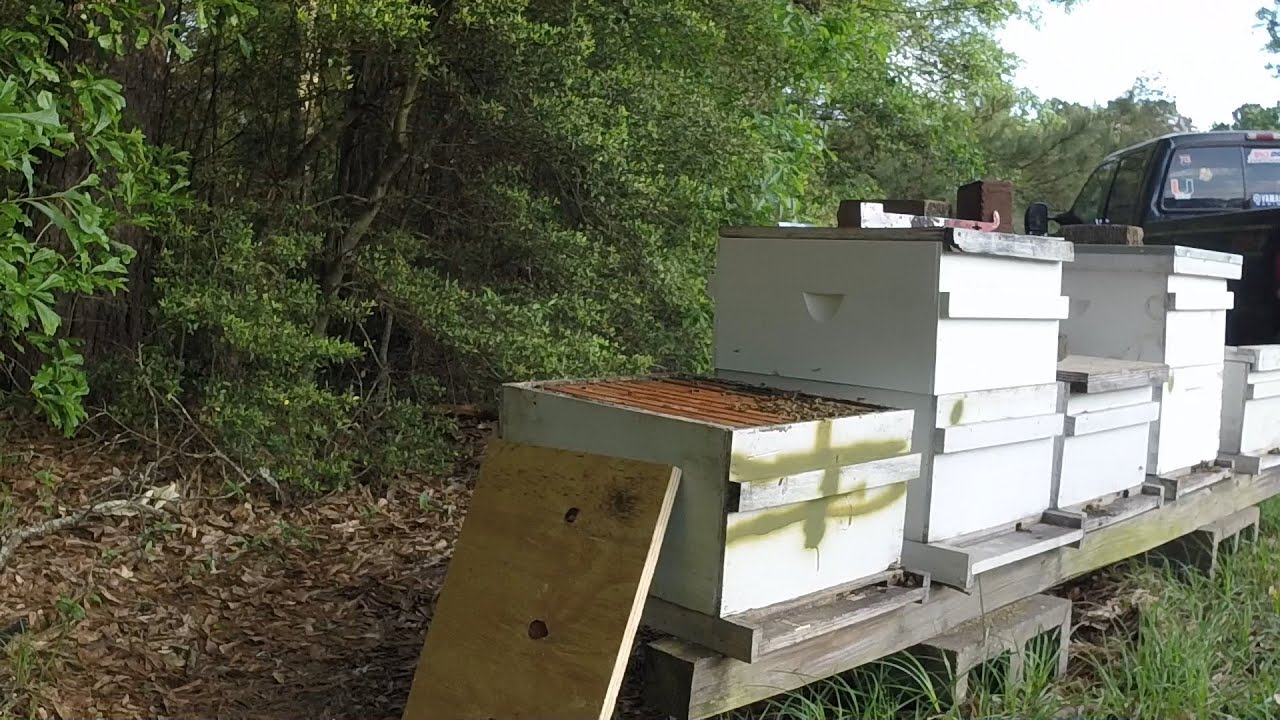 Hive Split Moves-Vertical Tops w/ Queens - YouTube