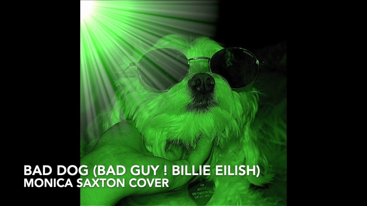 Bad Dog (Bad Guy ! Billie Eilish) - Monica Saxton cover - YouTube