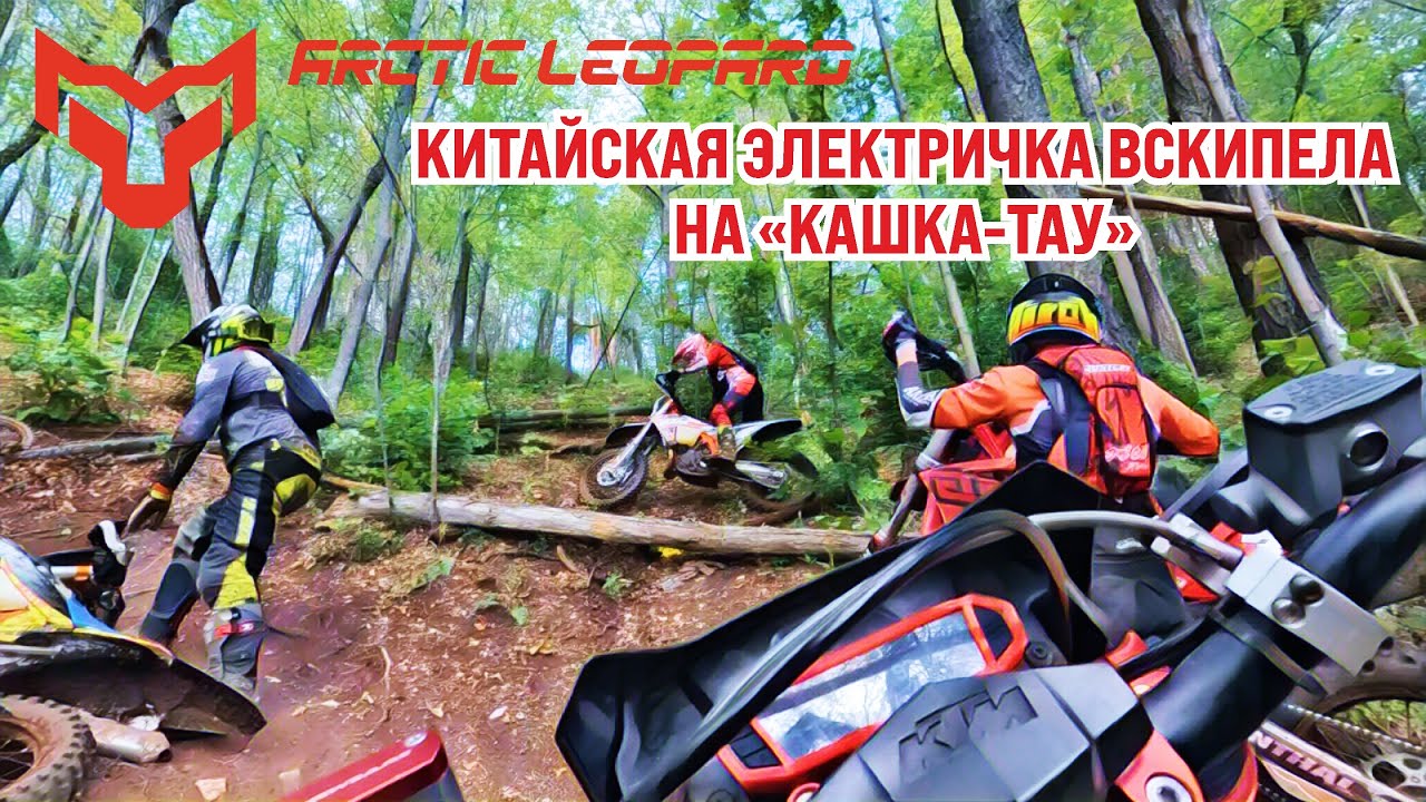 Перегрел Гепарда - Arctic Leopard EXE880 Cheetah. Не зря он арктический ...