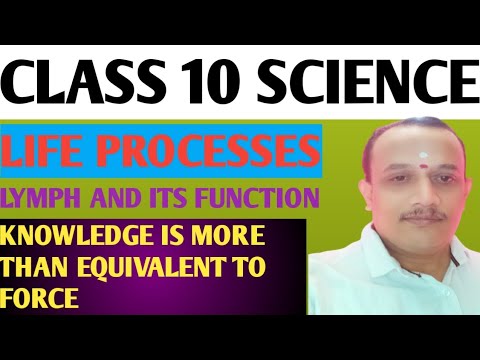 CLASS 10 SCIENCE LIFE PROCESSES LYMPH AND ITD FUNCTIONS - YouTube
