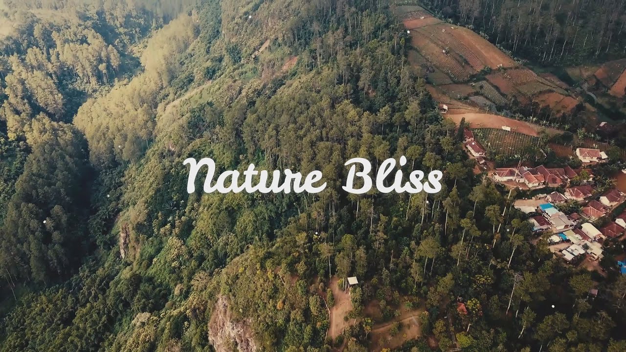 Nature Bliss| Meditation Music, Relax Music, Calm Music, Sleep Music ...