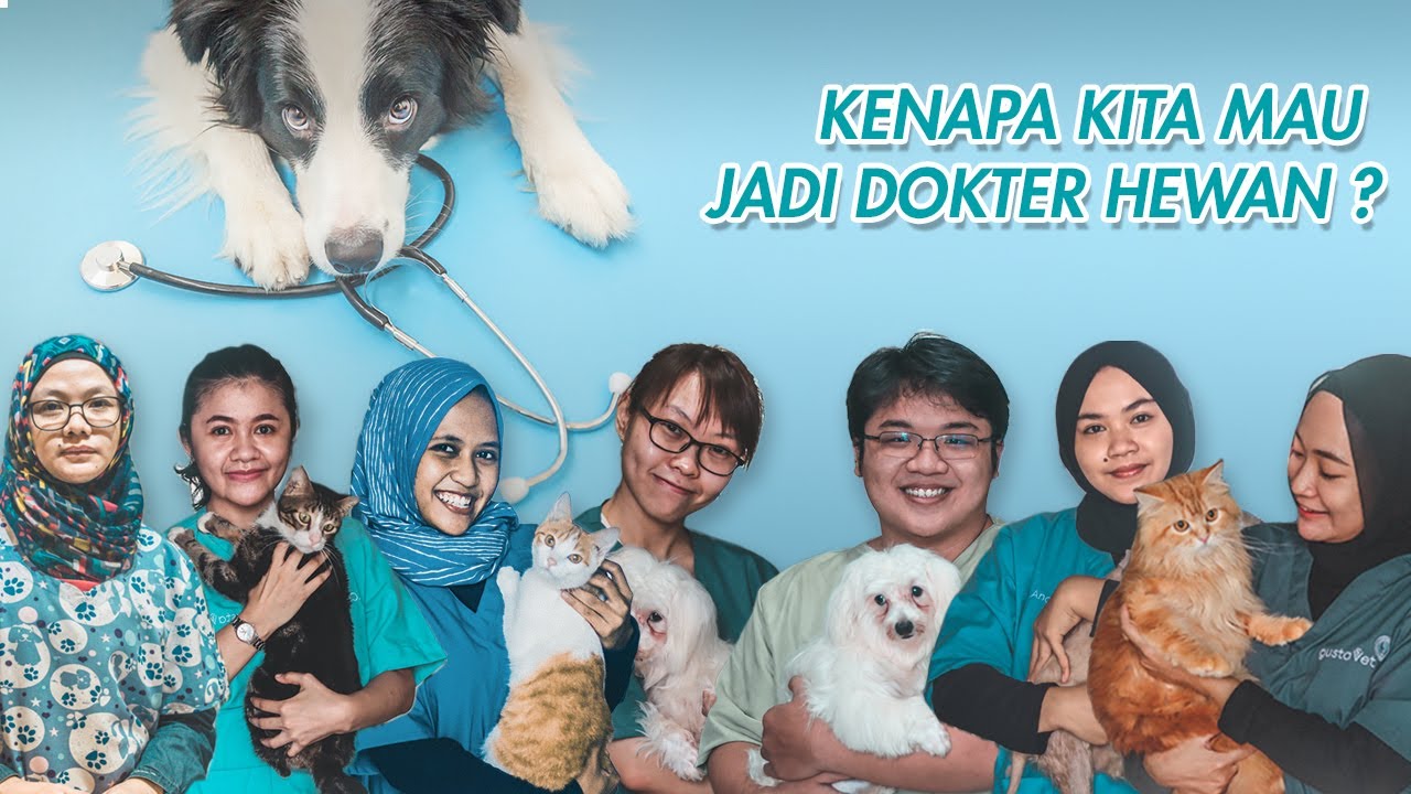 KENAPA MAU JADI DOKTER HEWAN?? || Wawancara dengan dokter hewan klinik ...