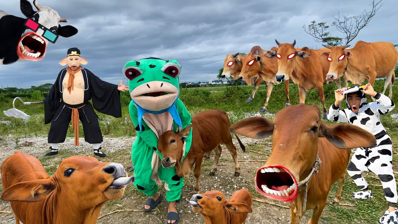 Con bò | Con bò con | Con bò ăn cỏ | Nhạc con bò | Bài hát con bò ...