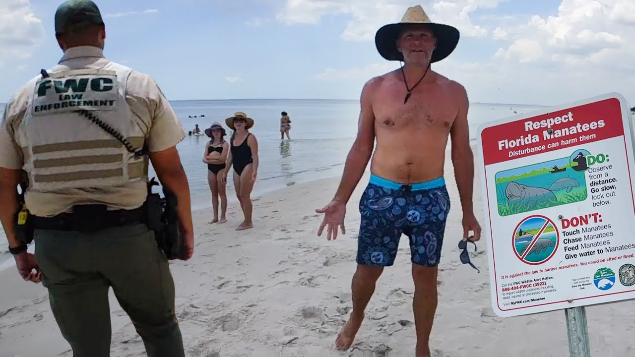 Police Catch Him Harassing A Manatee At The Beach - YouTube