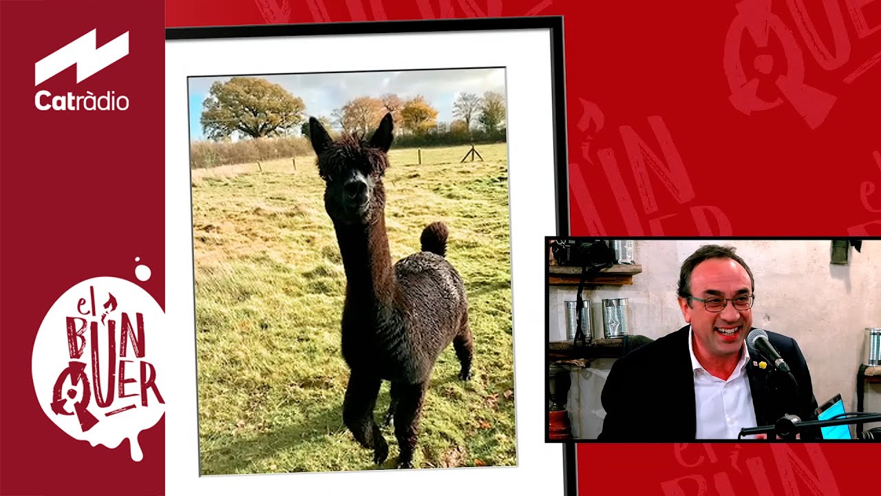 EL BÚNQUER: Alpaca Geronimo (5x117) - YouTube
