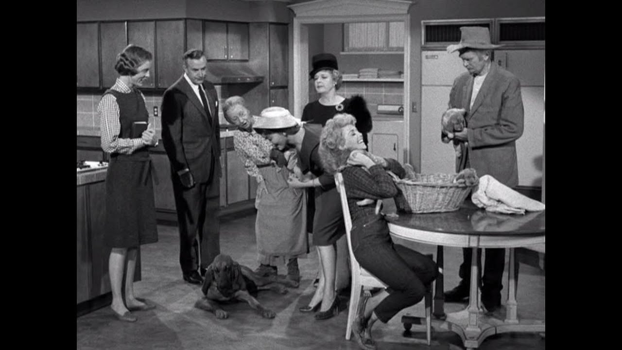 The Beverly Hillbillies - Duke Becomes a Father - Full Episode - S01E30 ...