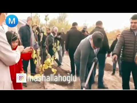 Paşik Prikol. Qoz Əkirəm. Yeni Dublaj. Səsləndirməsi Mashallahoglu. Abune Ol Paylaş Bəyən Dəstək Ol