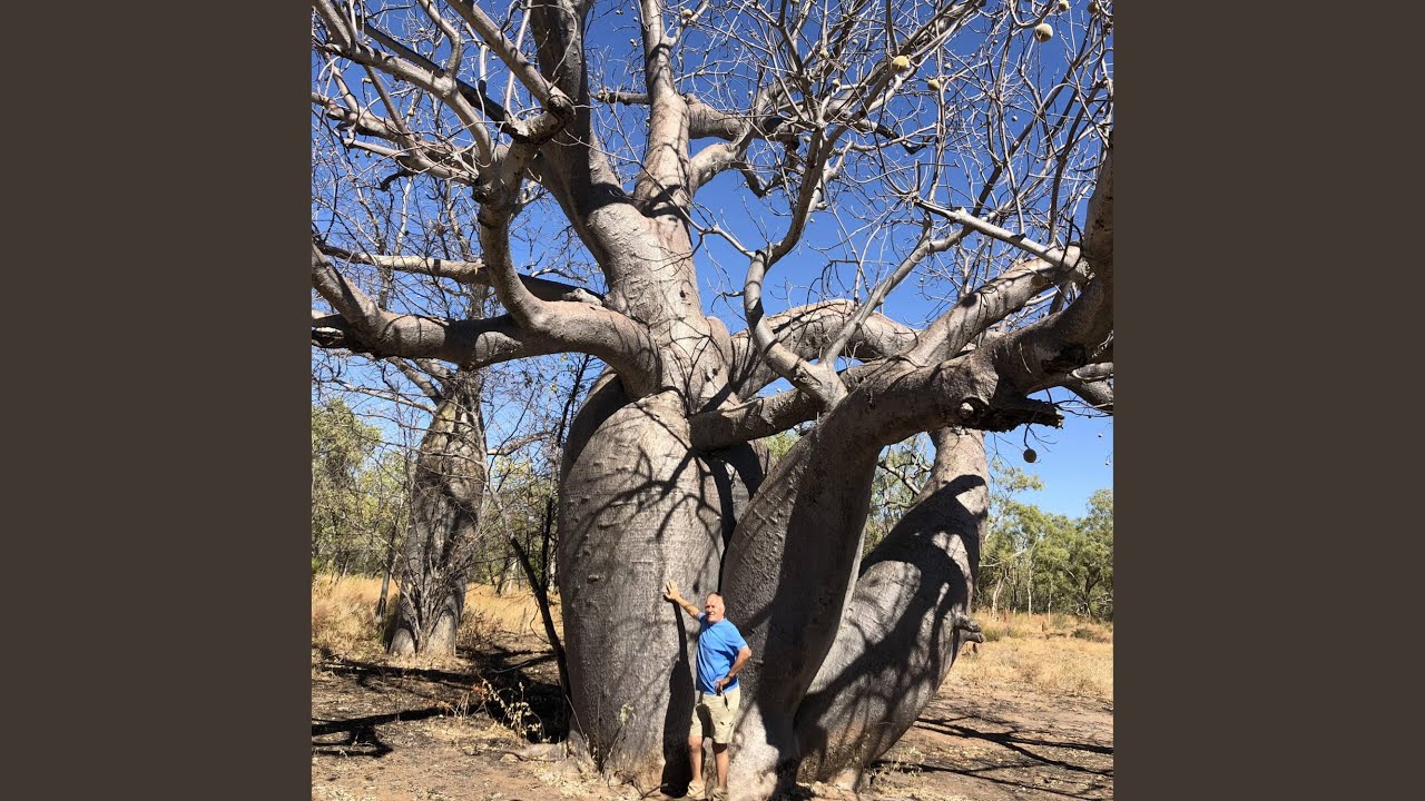 Balanggarra Country - YouTube