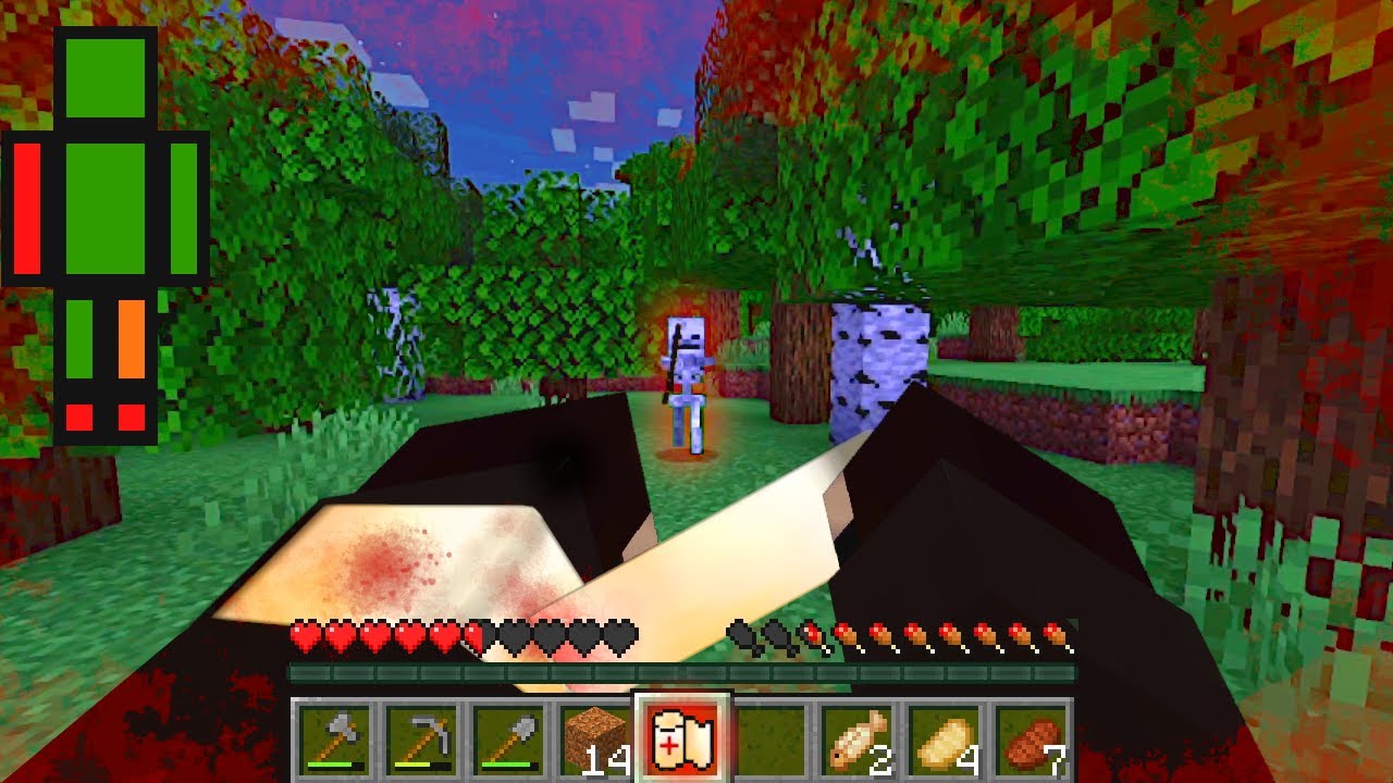 Minecraft With Realistic Health Systems - YouTube