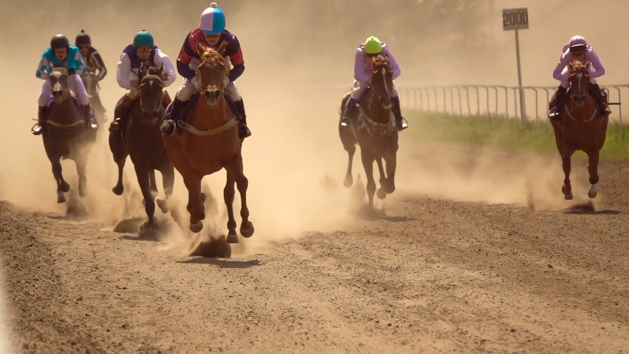 Horse racing controversy: Are cheaters still prospering? - YouTube