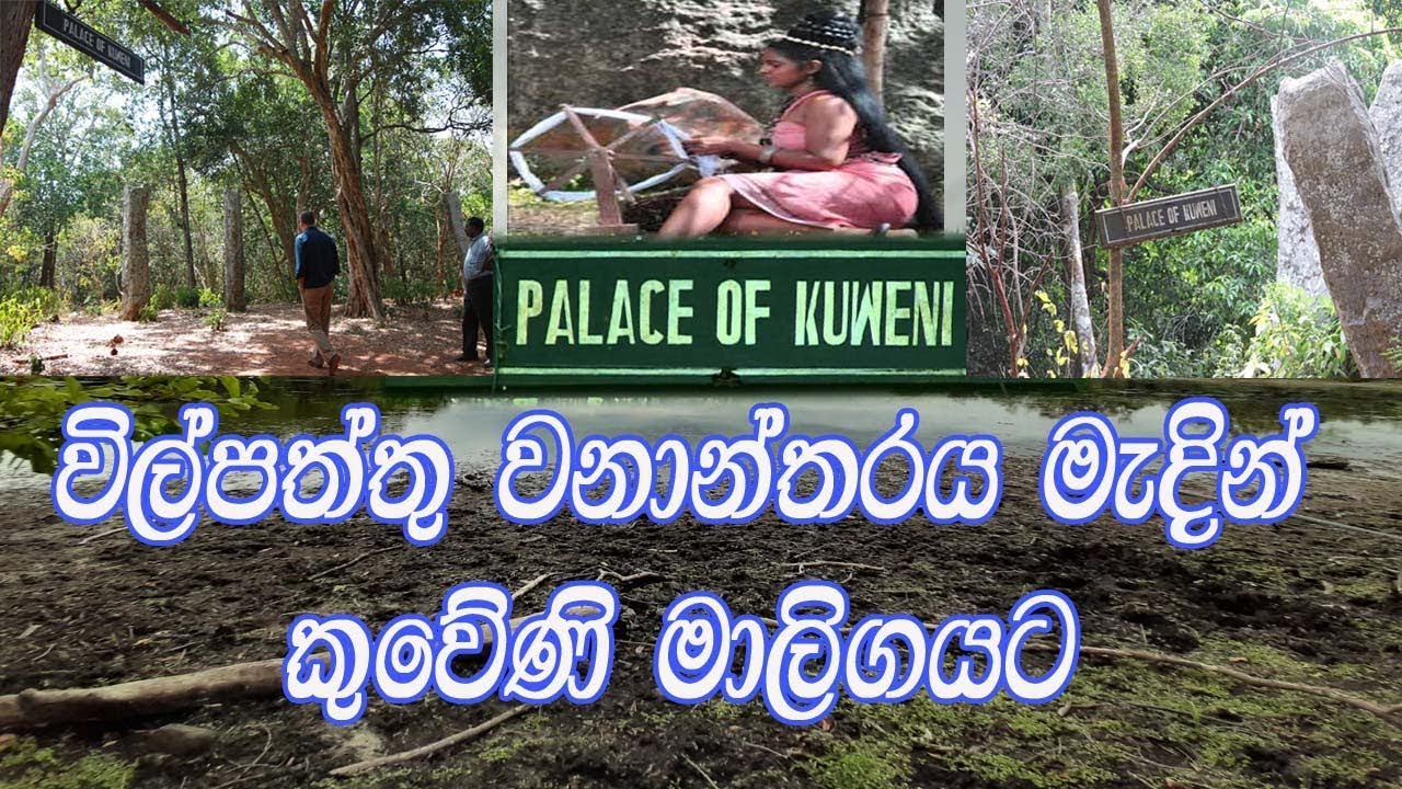 Kuweni Palace at Wilpattu (Trailer) - YouTube