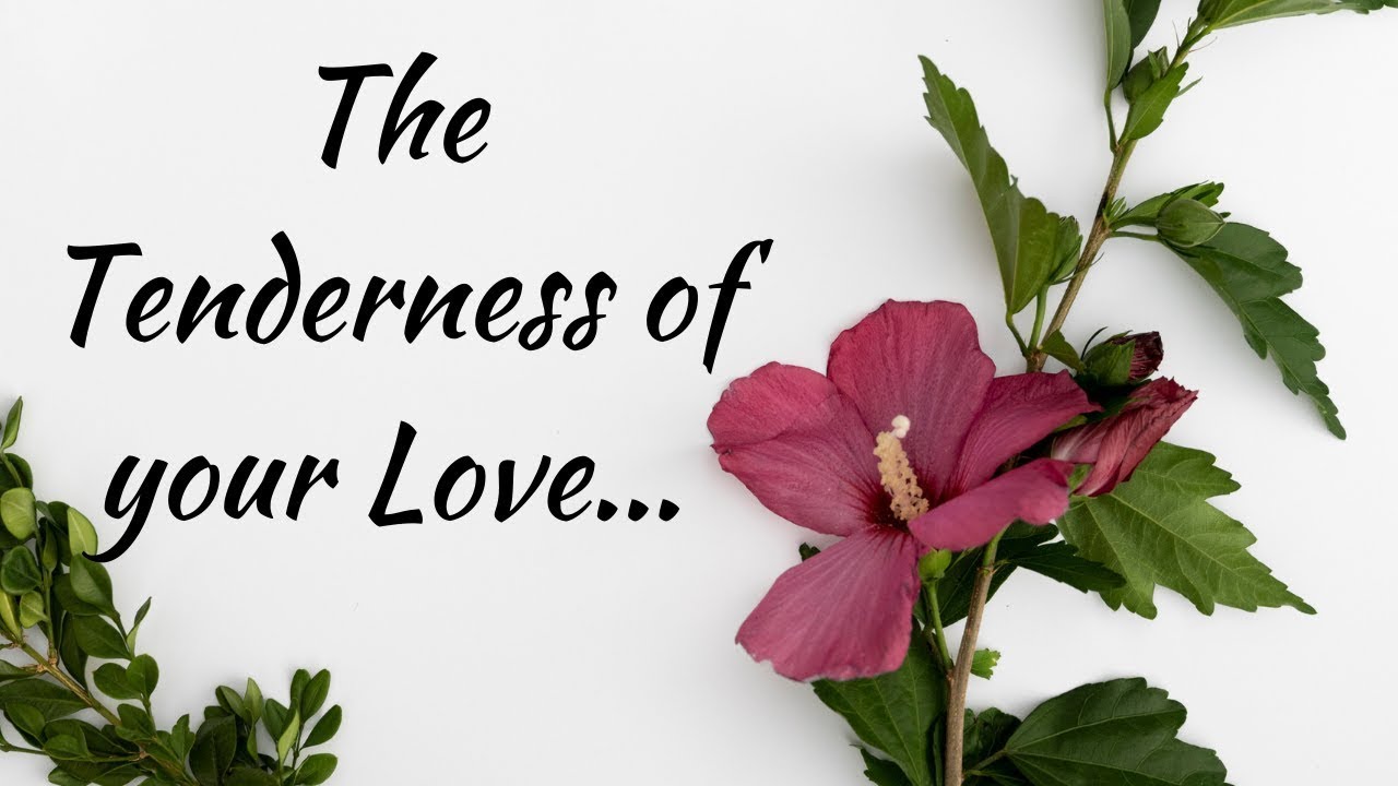 Love Poems for a Romantic and Endless Night under the Stars in the Sky ...