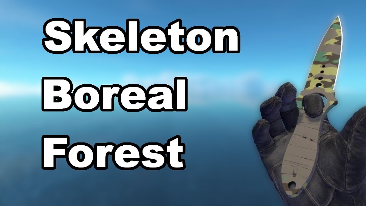 Skeleton Knife Boreal Forest | CSGO Skin Showcase - YouTube