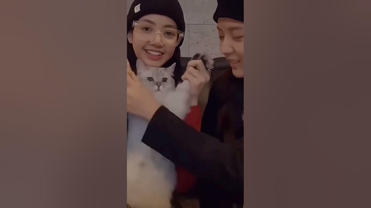 Joy 😹 with some old videos and trend#blackpink #jisoo #lisa #rosé #jennie #shortsvideo # ...