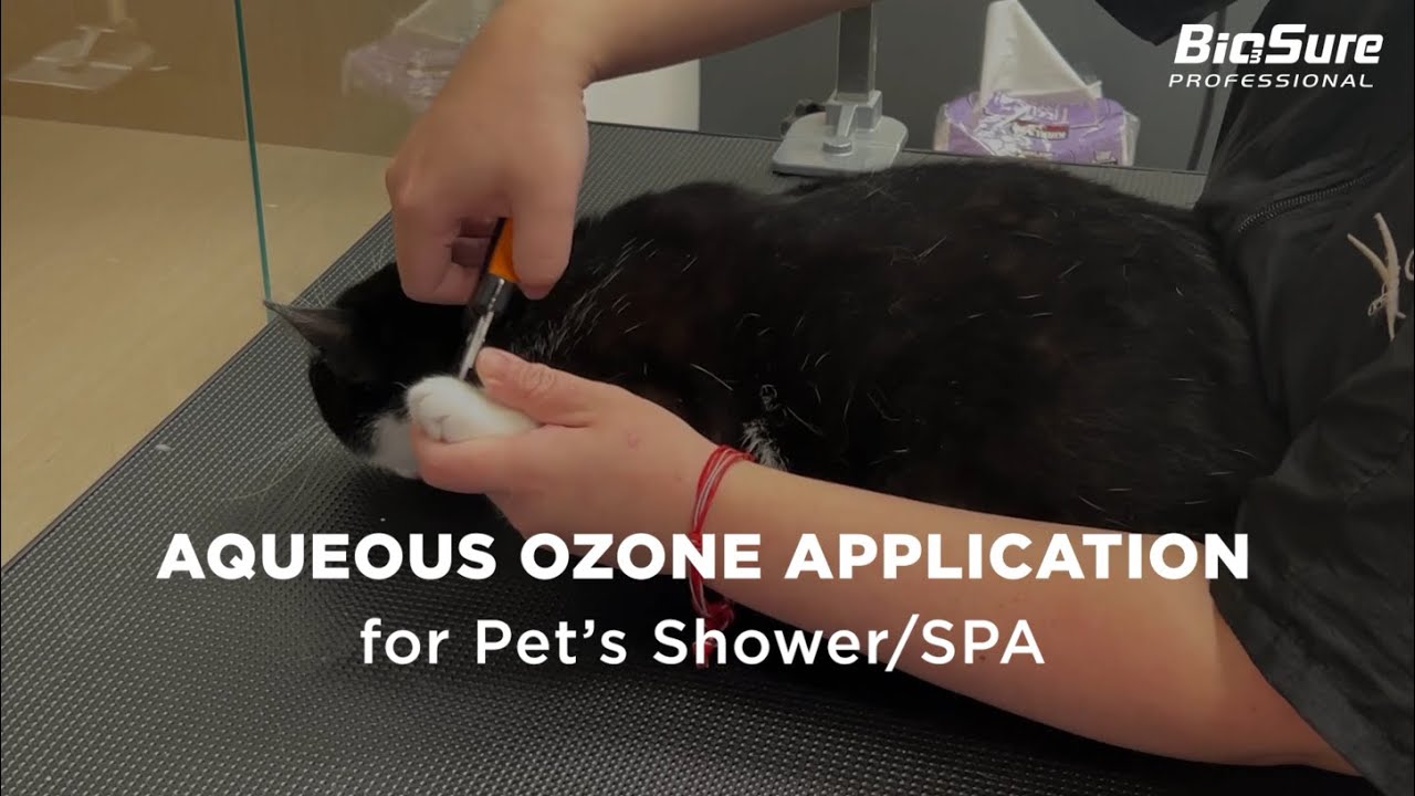 BioSure Pets Grooming Ozone Application - YouTube