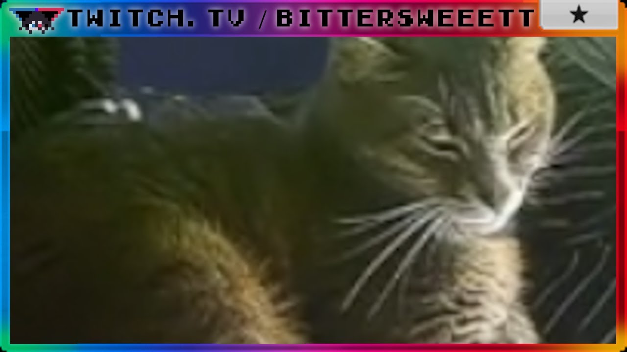 meow uwu |Twitch VOD| twitch.tv/bittersweeettt - YouTube