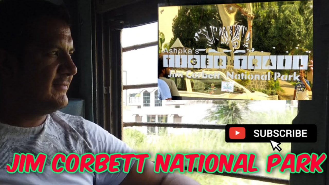 Moradabad To Jim Corbett National park Train Journey || Finally Reached ...