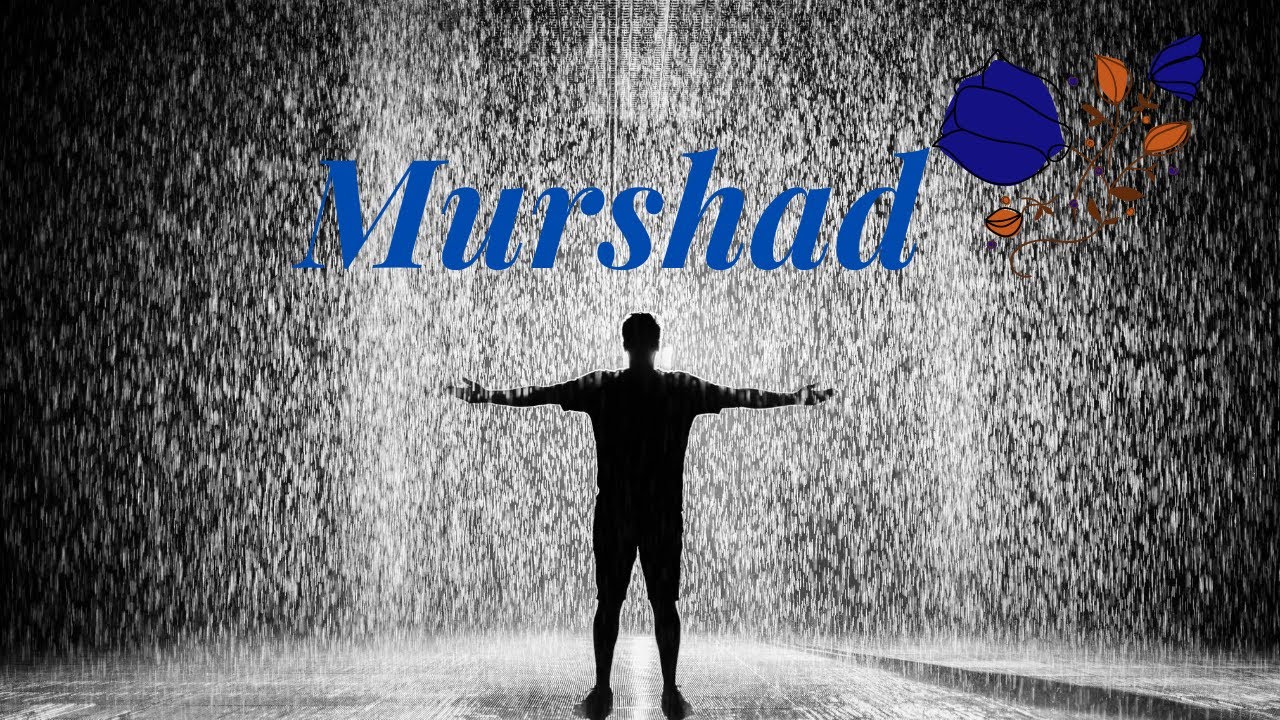 Murshad two liner for short videos | Murshad poetry | Hindi poetry ...