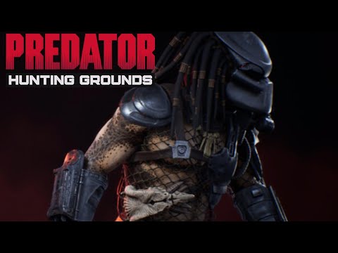 ALL NEW PREDATOR TROPHIES | PREDATOR: HUNTING GROUNDS - YouTube