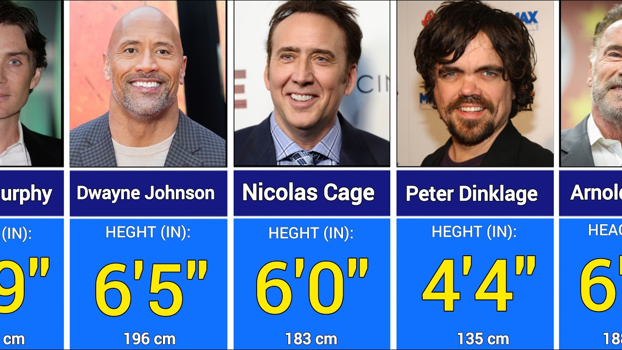 Shoking Heights Of Hollywood Actors || Shortest to tallest - YouTube