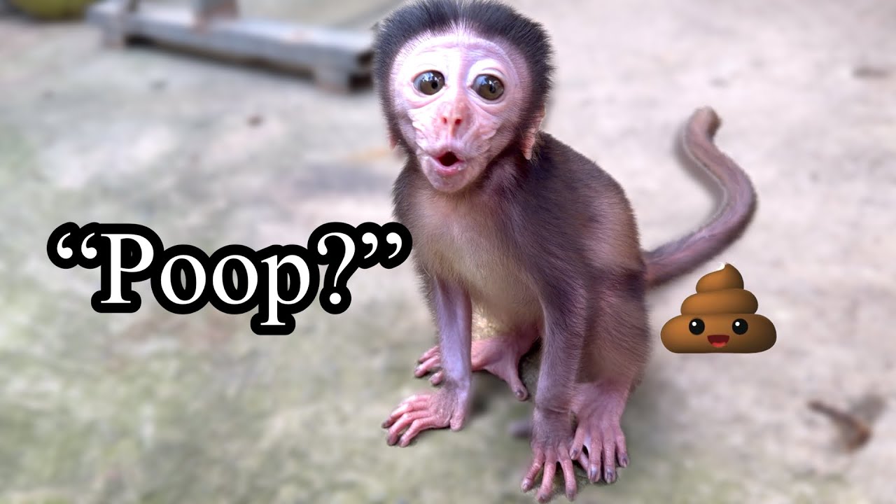 She Panicked After Poop… Then Mom Fixed Everything - YouTube