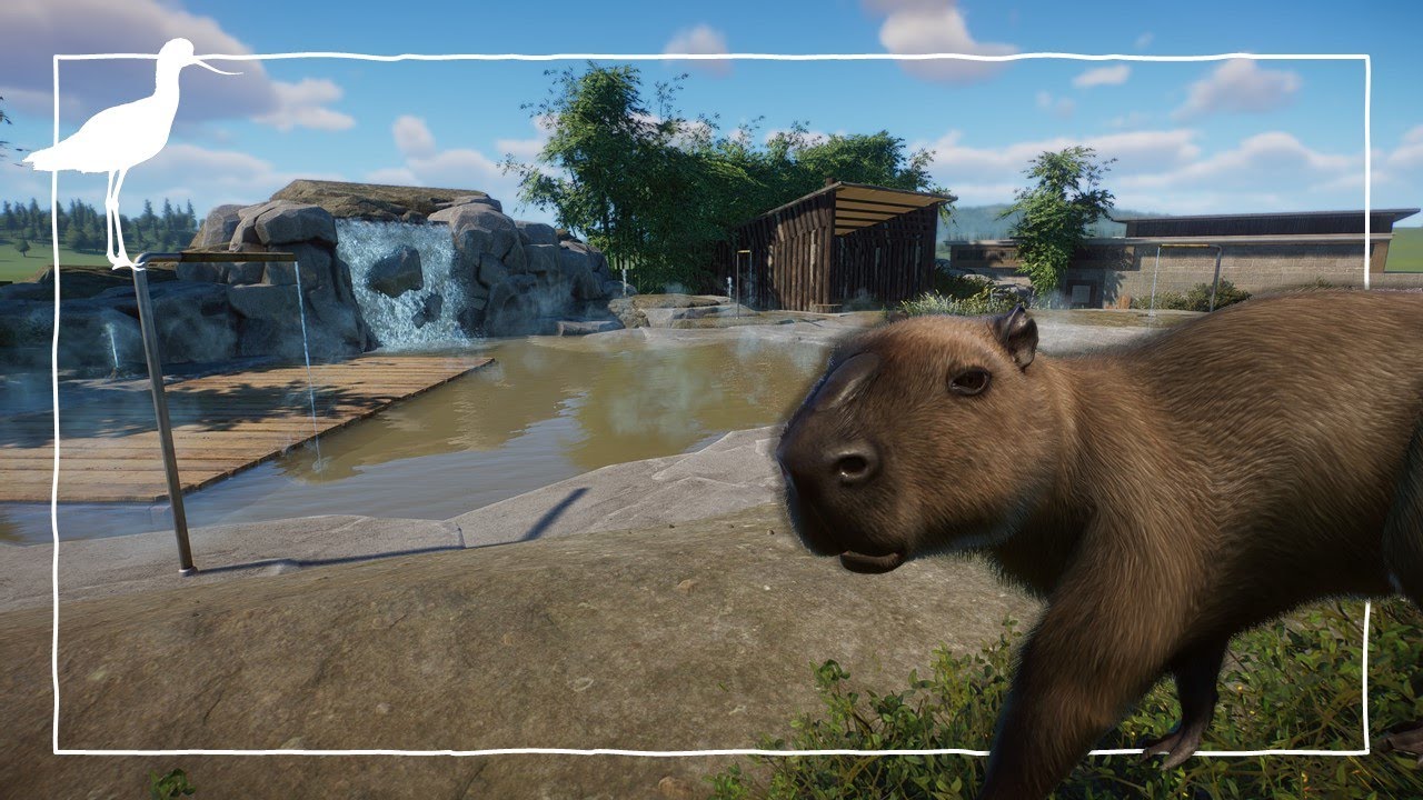 Capybara Conundrum Avocet Point 7 Planet Zoo Speed Build YouTube Capybara Conundrum Avocet Point 7 Planet Zoo Speed Build YouTube