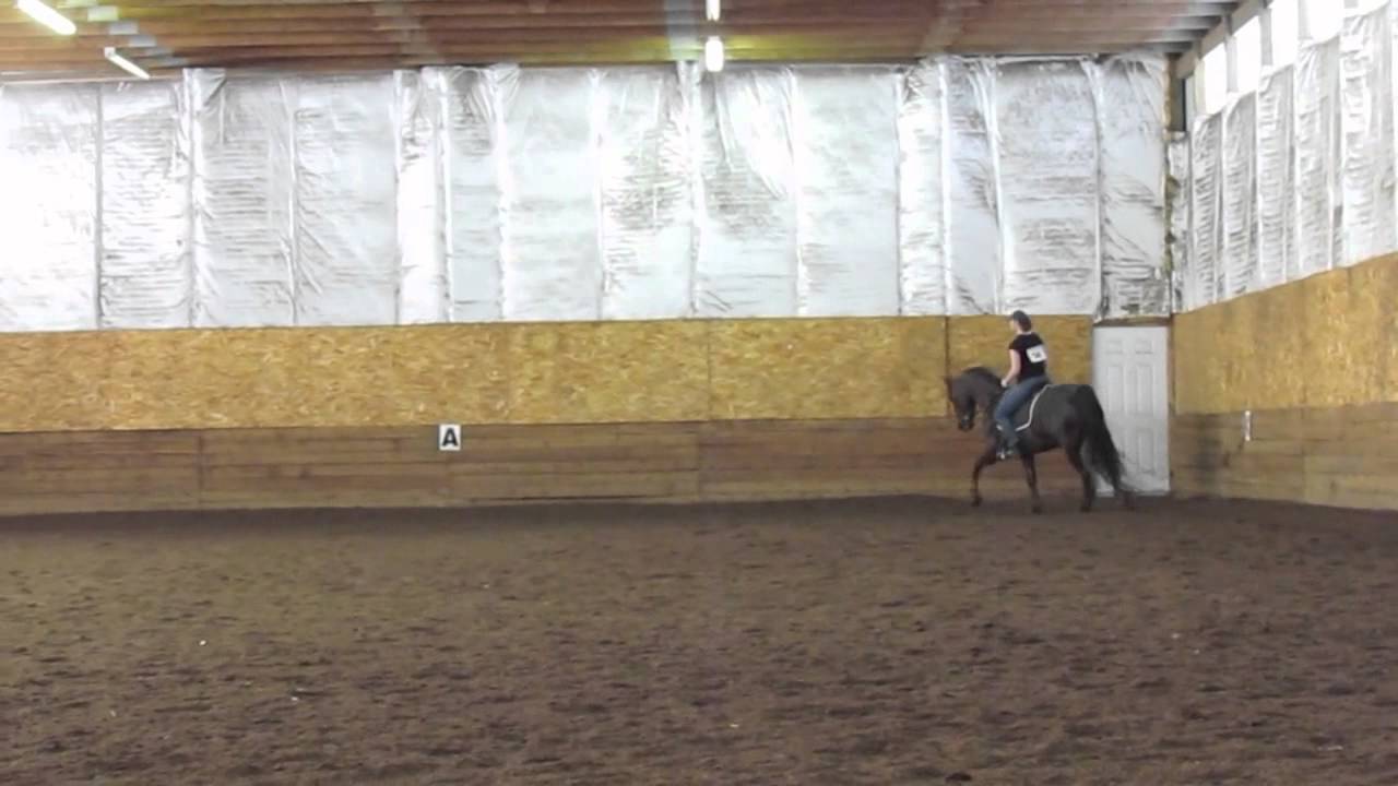 Dressage - Level 2 Test 1 - YouTube