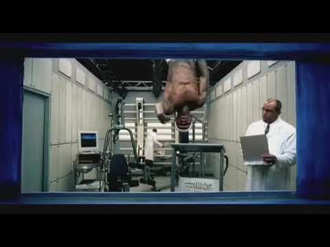 50 CENT (ŞAK ŞAK STYLE)