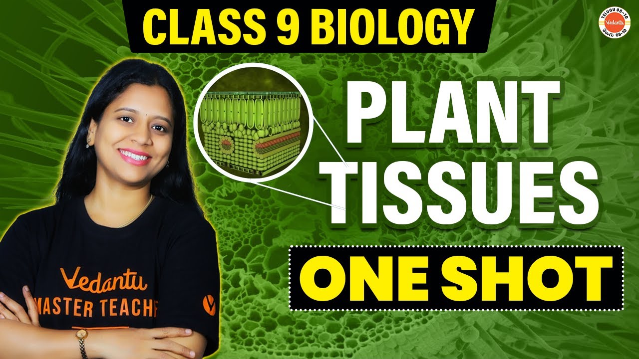 PLANT TISSUES | ONE SHOT | Class 9 Biology | Sunaina Ma'am ...