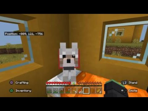 Gongeous - YouTube
