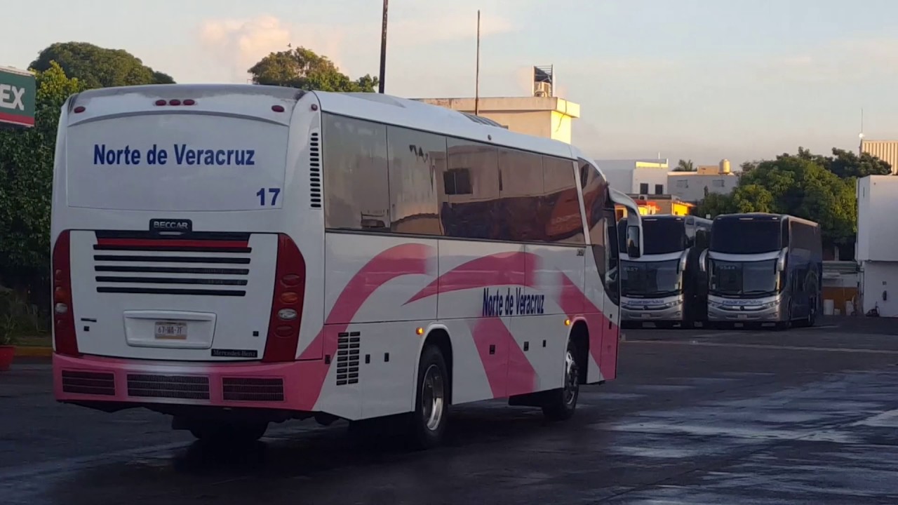 Grupo Vencedor Oficial - YouTube