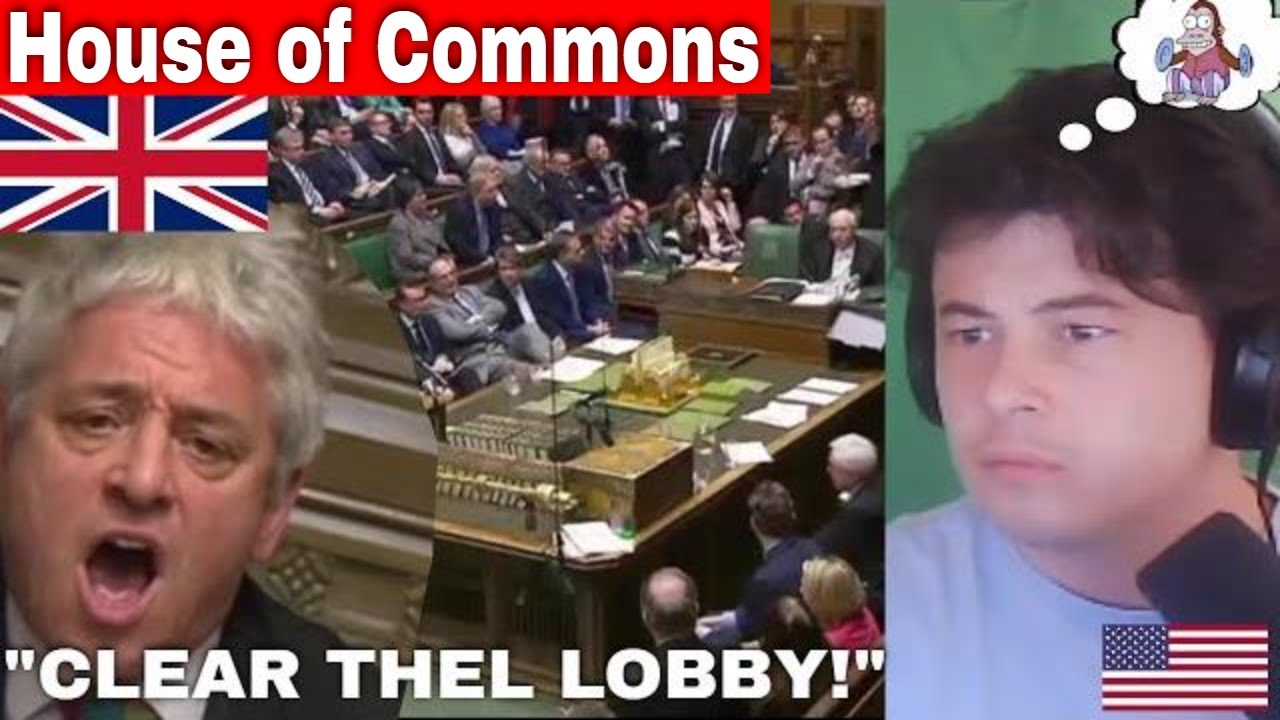 American Reacts What Actually Happens in the House of Commons? - YouTube