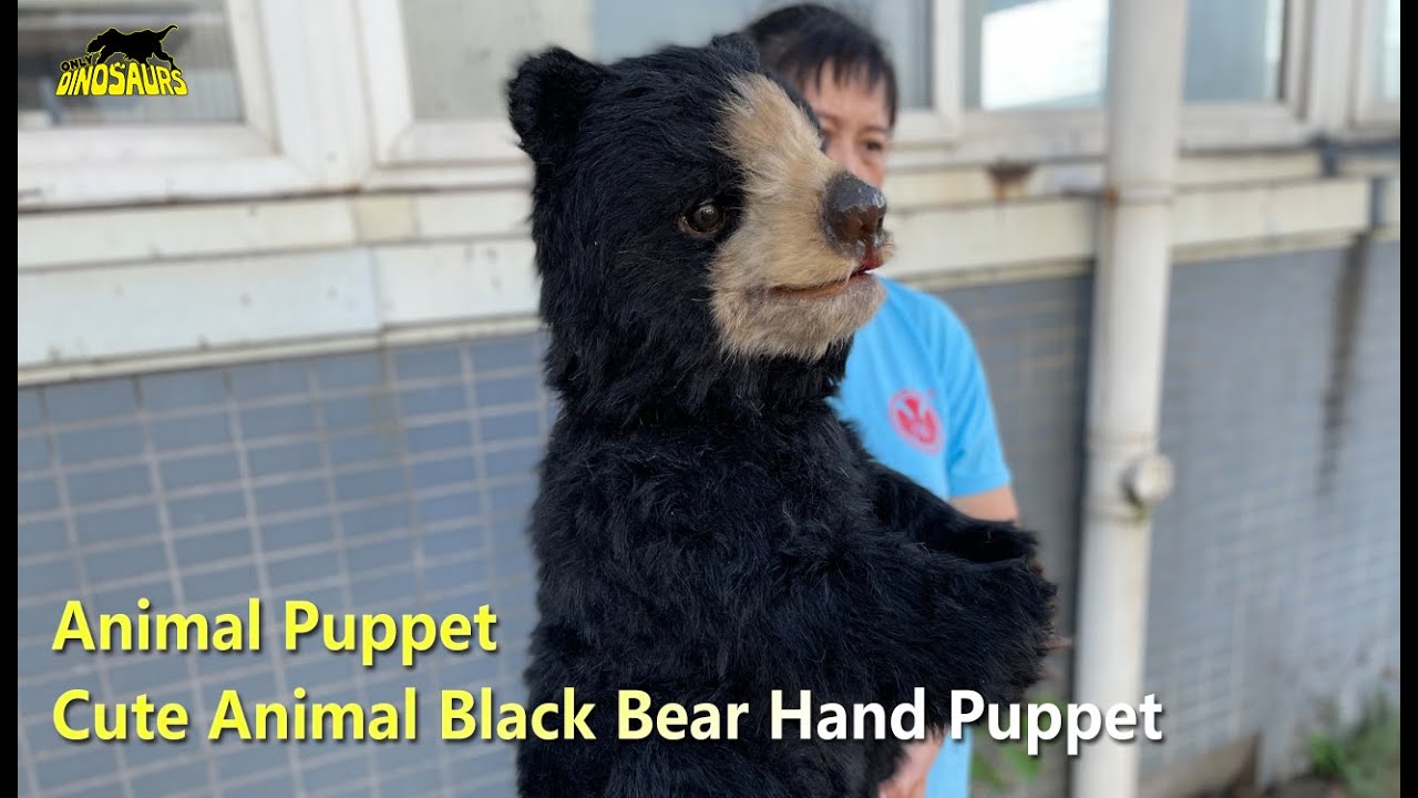Cute Animal Black Bear Hand Puppet | Puppets - YouTube