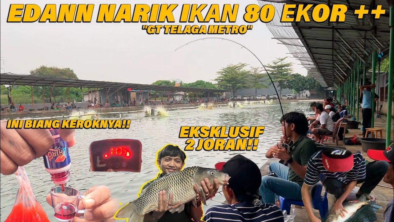 Gokill Joran Terbang-terbangan Ngacir !! Esklusif 2 Joran GT Metro ...
