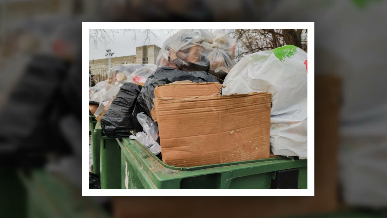 Dumpster Diving Mama - YouTube