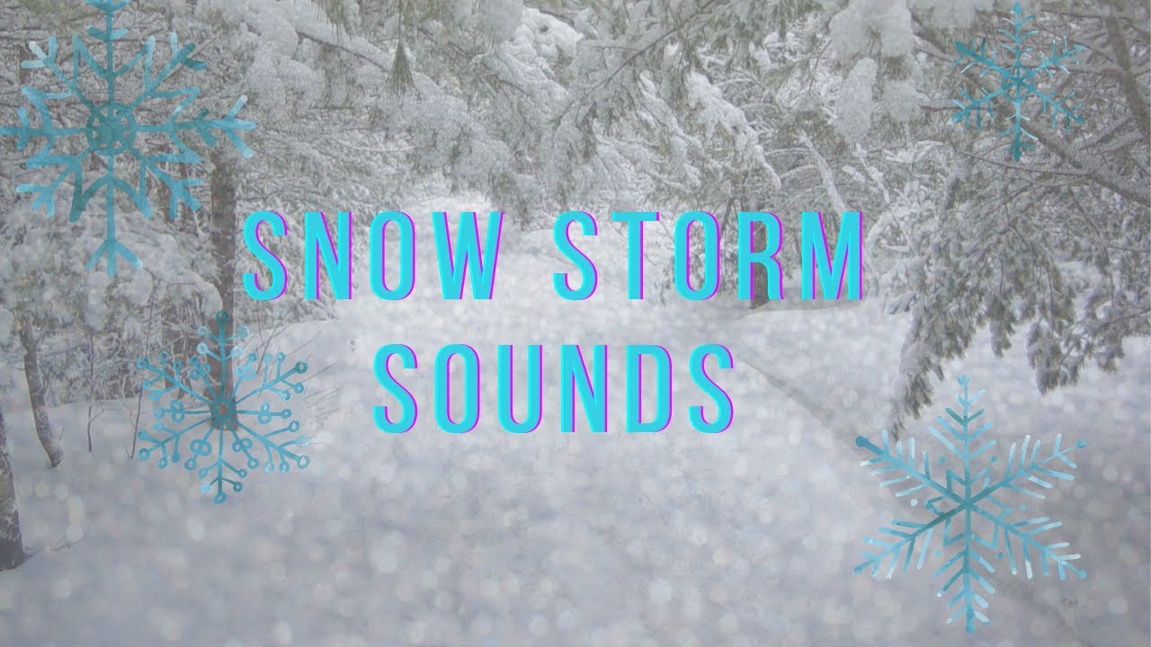 1 Hour EPIC Snow Storm Sounds| Volume is Reduced every 20 minutes ...