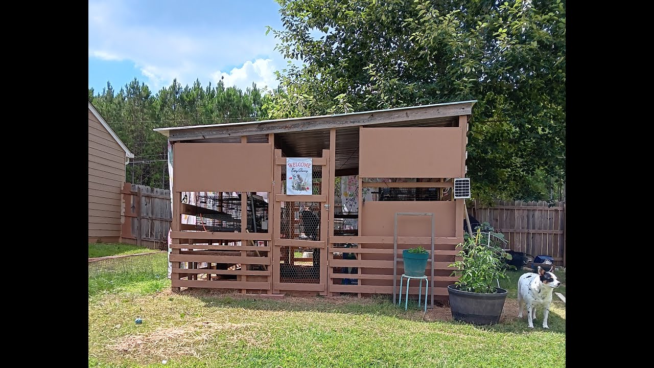 Chicken catch up and more building on the rabbitry - YouTube