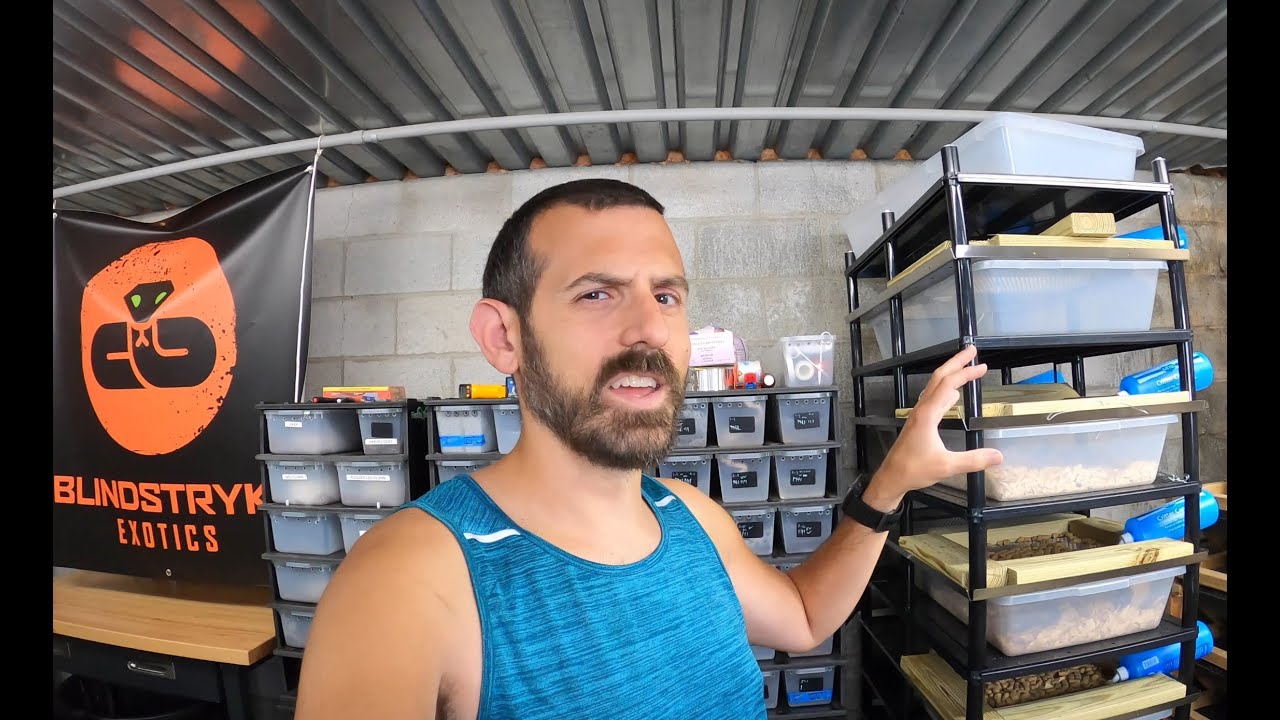 SHOULD YOU SPEND BIG $MONEY$ ON A 70 SERIES VISION RODENT RACK? - V60 ...