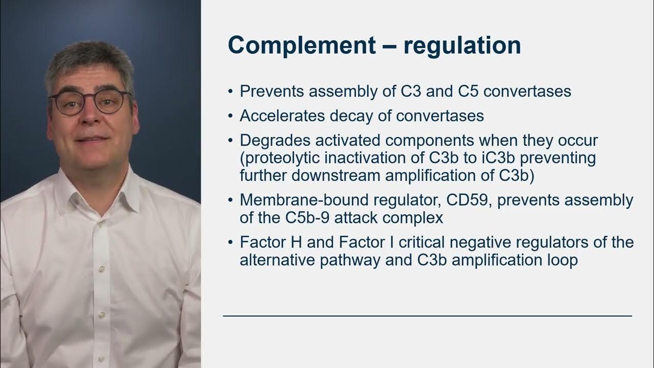 the components of Complement system - YouTube